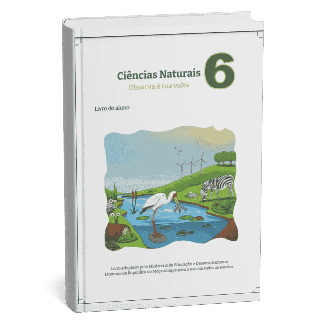 Livro de Ciências Naturais 6ª Classe pdf. » Biblioteca Digital EduSkills